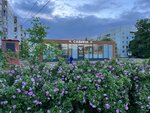 Магазин продуктов (Leningrad Region, Tosno, ulitsa Maksima Gorkogo), market  Tosno'dan