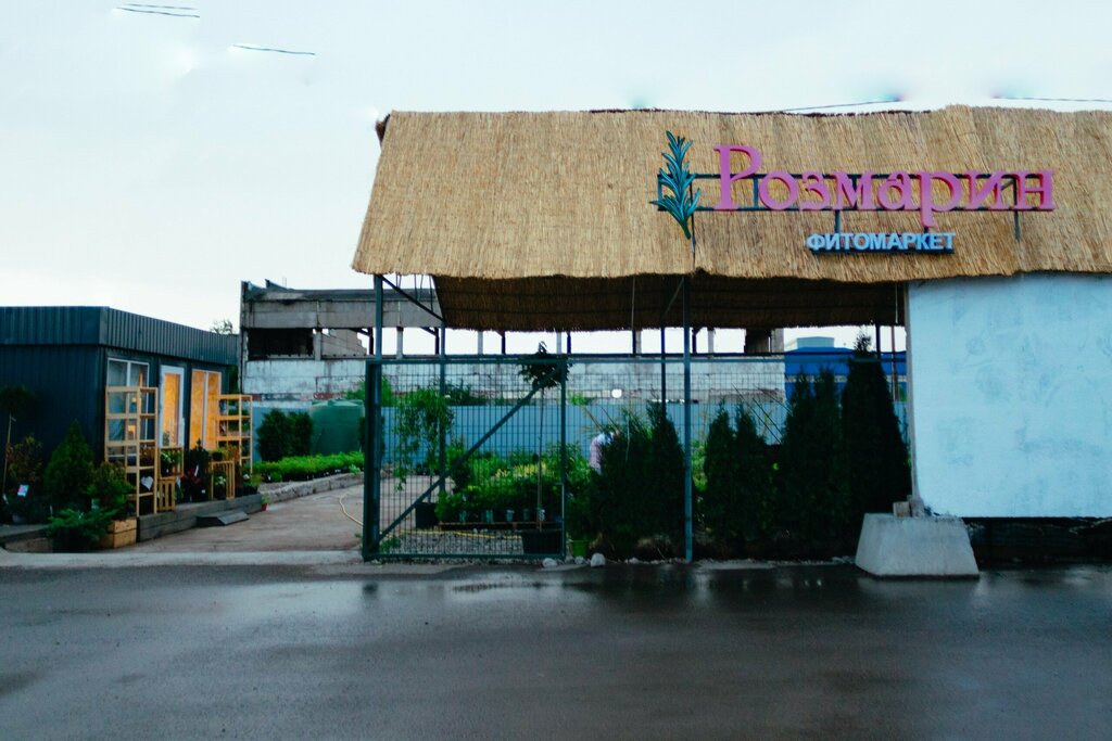 Sera ve bahçe ürünleri Розмарин, Samara, foto