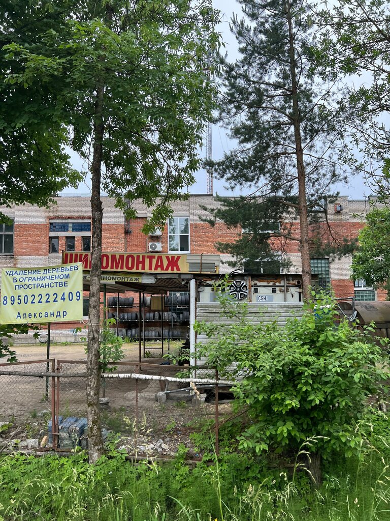 Oto lastik tamiri Шиномонтаж, Saint‑Petersburg ve Leningradskaya oblastı, foto