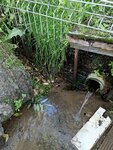 Spring, stream (Bitsa River), pınar, çay  Vidnoye'den