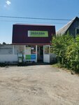 Avokado (No:36А, derevnya Bolshiye Kozly), market  Kalujskaya oblastından