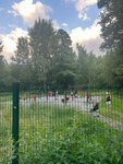 Sports ground (Moscow, Vostochniy Administrative Okrug, Ivanovskoye District), spor alanı  Moskova'dan