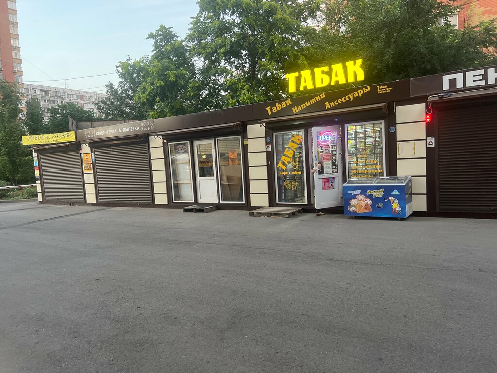 Çiçekçiler Neon, Rostov‑na‑Donu, foto