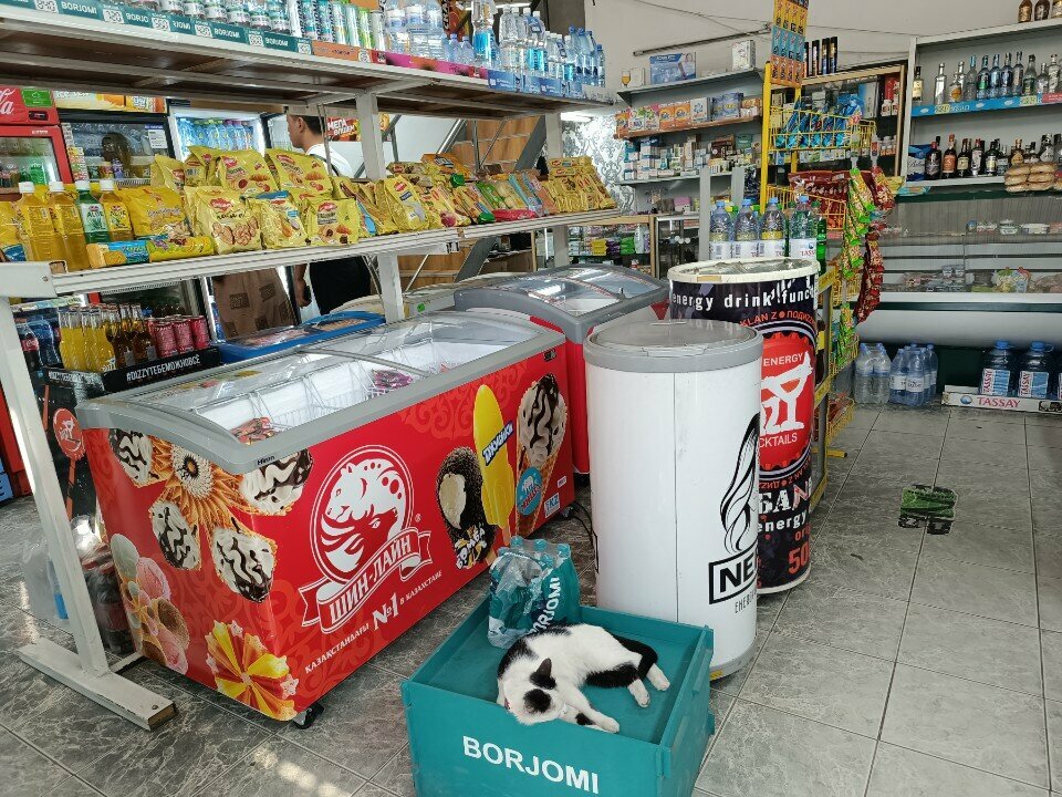 Market Forsazh, Taraz, foto