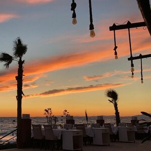 Kalabalık Meyhane (Aydın, Kuşadası, Kadınlar Denizi Mah., Kadınlar Denizi Cad., 68), restoran  Kuşadası'ndan