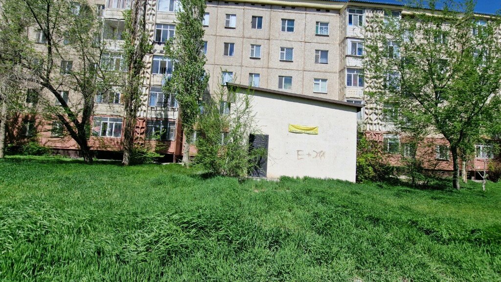 Eğitim merkezleri Интеллект, Taraz, foto