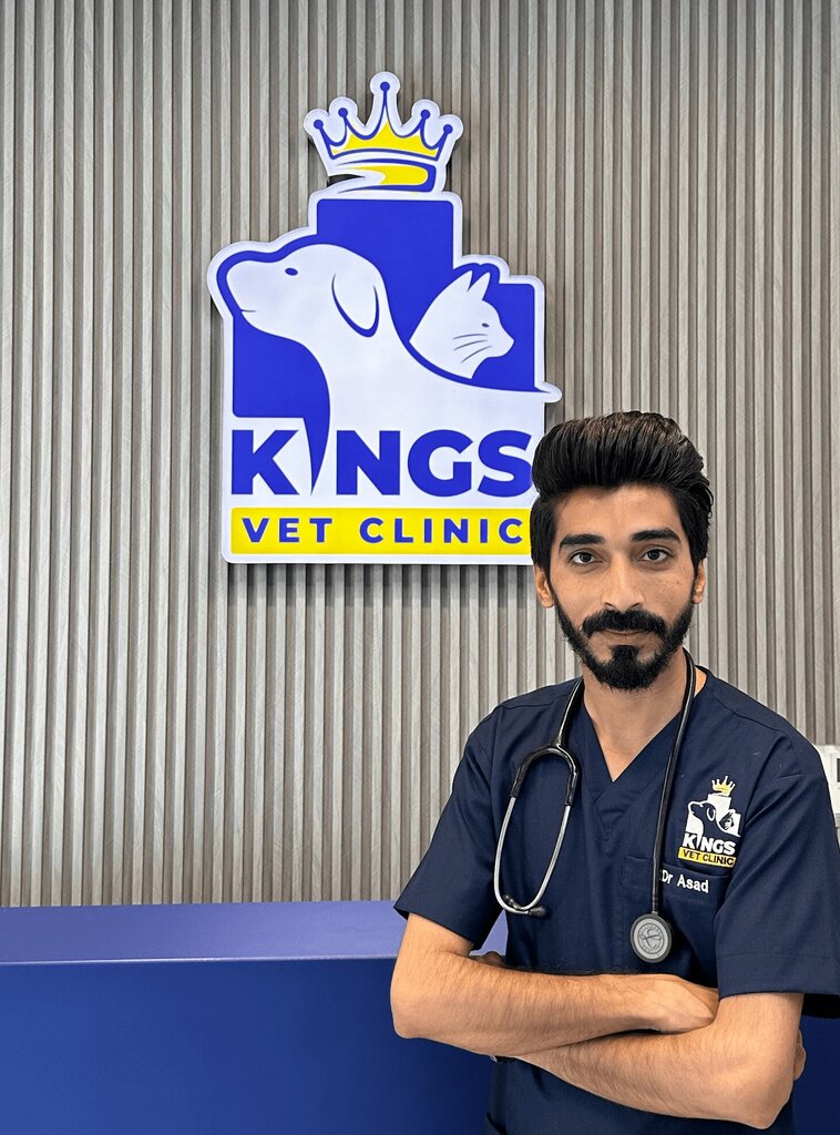 Veteriner klinikleri Kings Vet Clinic, Dubai, foto