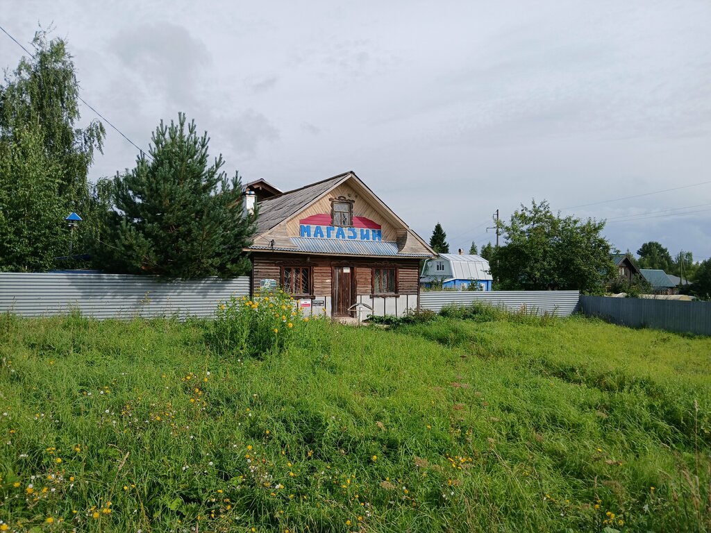 Mini-market Смешанные товары, Vologda, foto