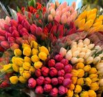Amur Flovers (Stroiteley Avenue No:4/6), çiçekçiler  Volgodonsk'tan