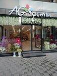 Ağ ciceyim (Azadliq Avenue No:162A, Baku), çiçekçiler  Bakü'den
