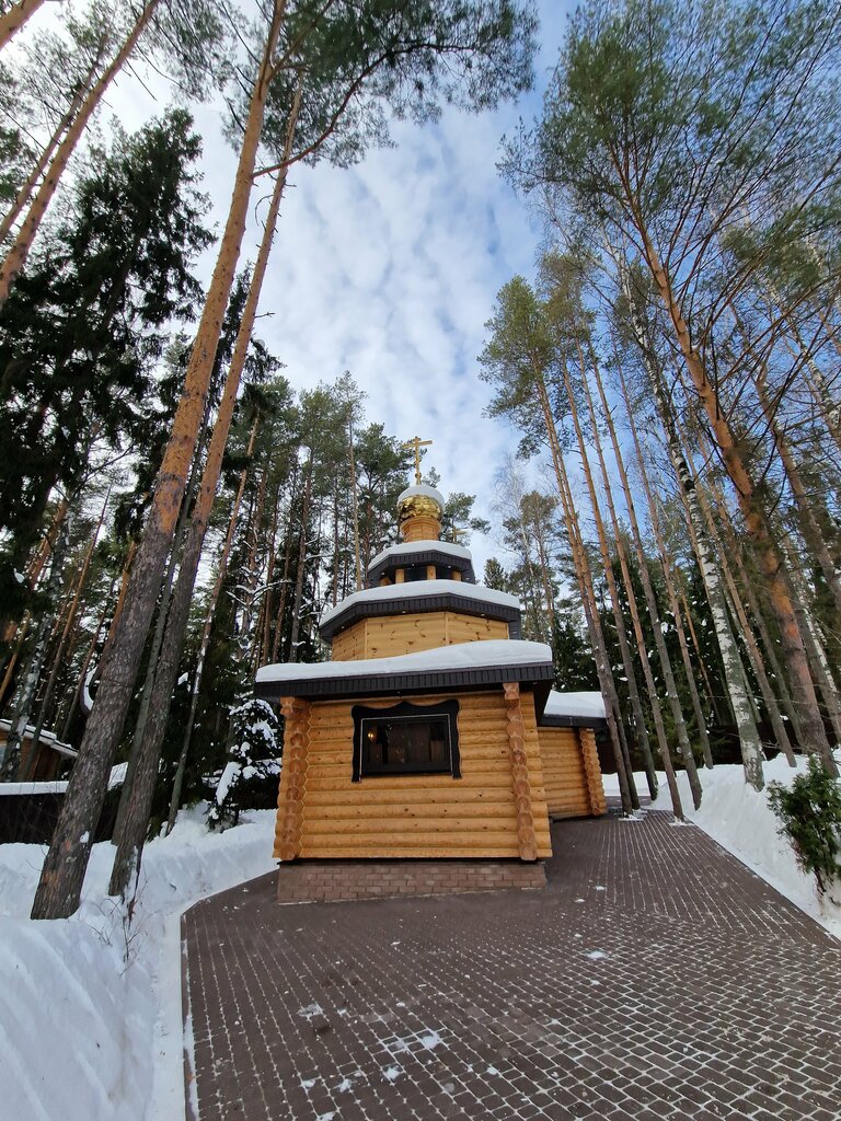 Ortodoks kiliseleri Храм Святителя Николая чудотворца, Nijegorodskaya oblastı, foto