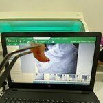 Dentistry (Aerodromnaıa kóshesі No:91, Boraldaı kenti), özel ağız ve diş sağlığı klinikleri ve muayenehaneleri  Almatı eyaletinden