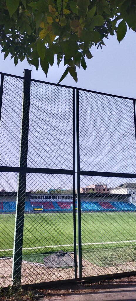 Stadyum Stadium, Beijing, foto