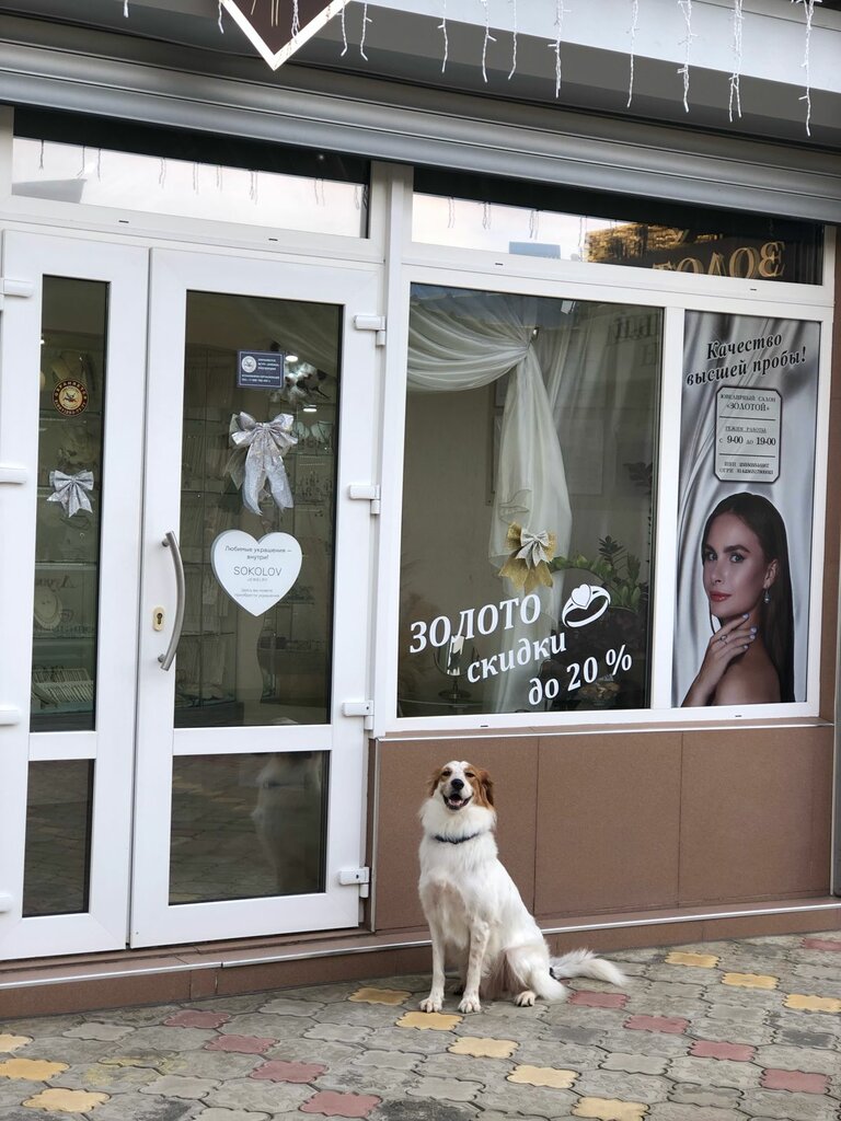 Veteriner klinikleri Друг, Krasnodarski krayı, foto