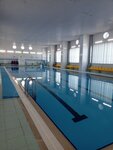 Бассейн (Chelyabinsk Region, selo Chesma), yüzme havuzları  Çeliabinskaya oblastından
