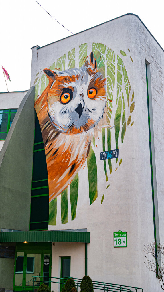 Sokak sanatı Мурал Ушастая сова, Minsk, foto