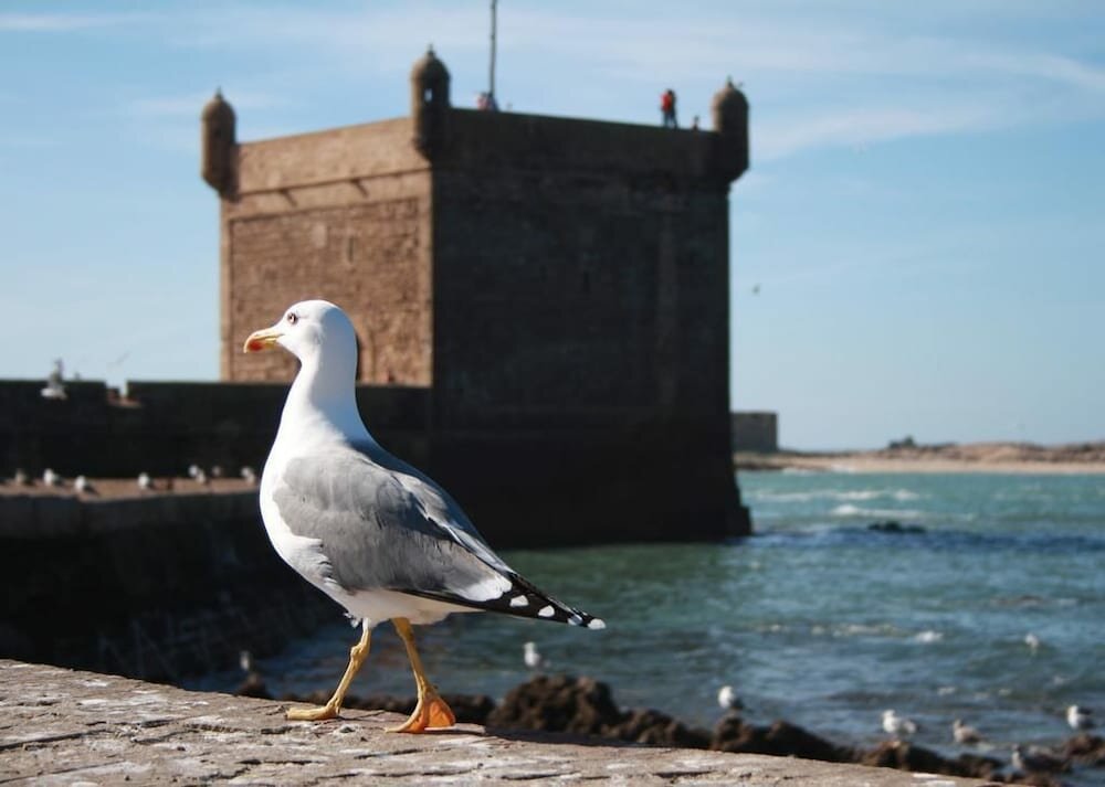 Otel Dar Tranquille, Suvayr, foto