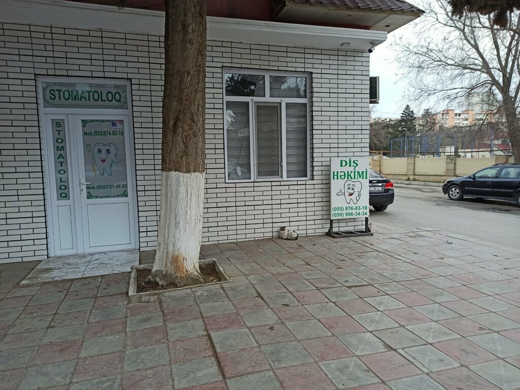 Özel ağız ve diş sağlığı klinikleri ve muayenehaneleri Dish hekimi, Bakü, foto