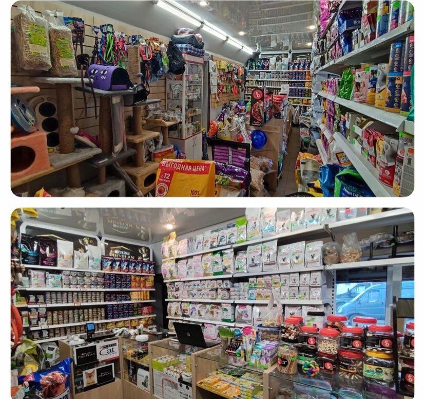 Petshop Kotofey, Gomel, foto