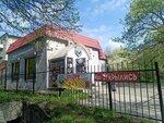 Beer pub (Kommunisticheskaya Street No:37Г), bira dükkanı  Kaliningrad'dan