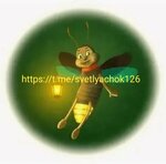 Svetlyachok (Stroiteley Street No:11к3), terziler  Moskova'dan