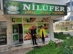 Nilüfer Masaj Terapi Merkezi (Antalya, Muratpaşa, Savaş Cad., 39C), masaj salonları  Antalya'dan
