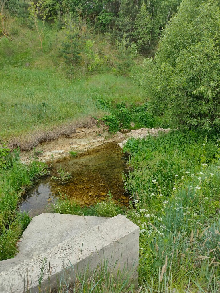 Pınar, çay Spring, stream, Lipetskaya oblastı, foto