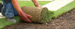 Green Life Landscaping Works LLC (Community Al Fagaa, Madinat Al Qudra, Dubai), çevre peyzaj hizmetleri