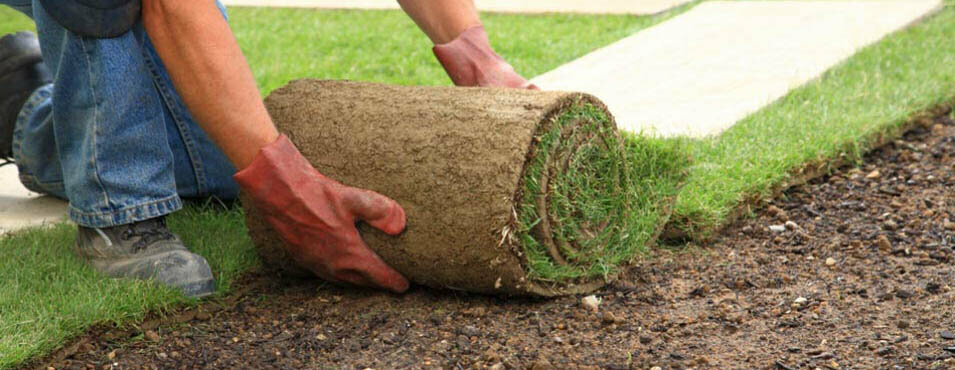 Peyzaj tasarımı Green Life Landscaping Work, Dubai, foto