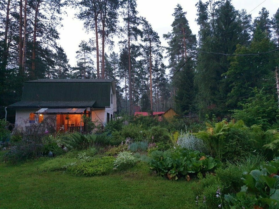 Bahçecilik dernekleri ve kuruluşları Nauka i Tehnika, Saint‑Petersburg ve Leningradskaya oblastı, foto