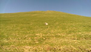 Hosnak (Lori Region), dağ zirvesi  Lori'nden