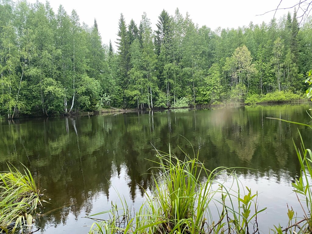 Seyir terası Поляна невест, Komi, foto