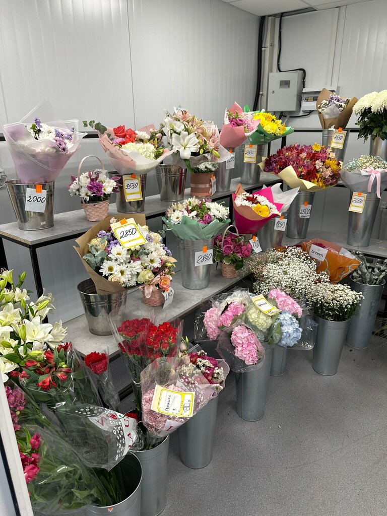 Çiçekçiler База цветов, Şçolkovo, foto