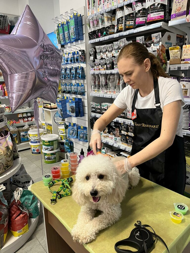 Petshop B2Pet, Rostov‑na‑Donu, foto