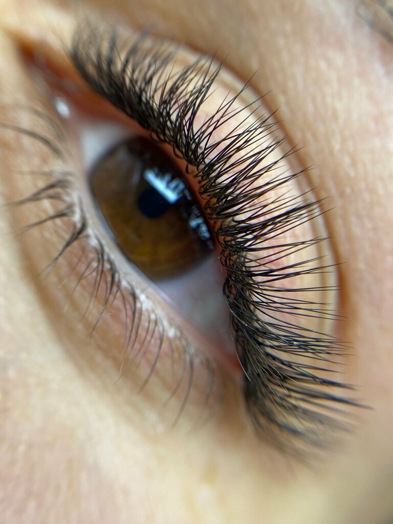 Kaş ve kirpik salonu Konovalova Lashes, Saint‑Petersburg, foto