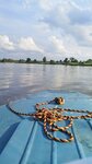 Агроусадьба На Припяти (Homieĺskaja voblasć, Mazyrski District, Skrygalawski Rural Council, vioska Balaževičy, Савецкая вуліца), çiftlik tatili  Gomelskaya oblastından