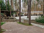 Forest (Republic of Tatarstan, munitsipalnoye obrazovaniye Almetyevsk, Potashno-Polyanskoye lesnichestvo, 174), restoran  Tataristan'dan