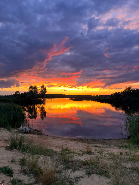 Plaj Пляж, Moskova ve Moskovskaya oblastı, foto