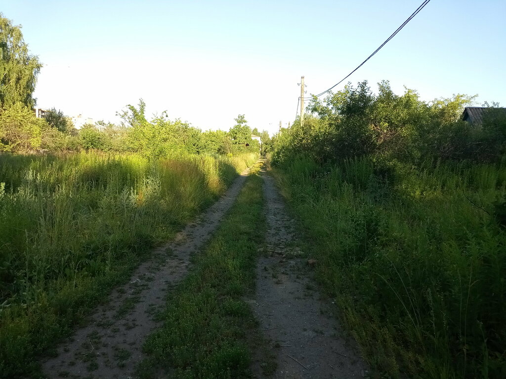 Bahçecilik dernekleri ve kuruluşları Металлург-4, Izhevsk, foto