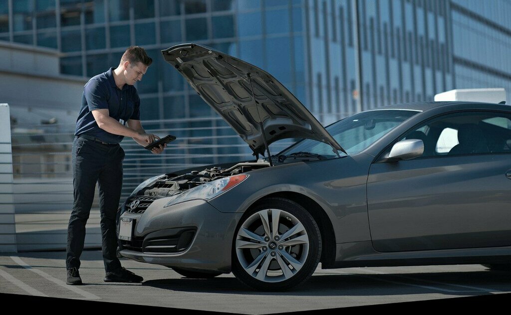 Araba seçimi hizmeti Autofit, Tiumen, foto