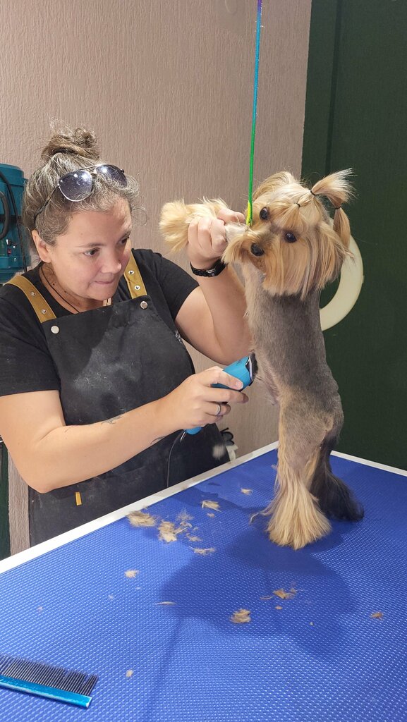 Evcil hayvan kuaförleri Лапочки, Gelencik, foto