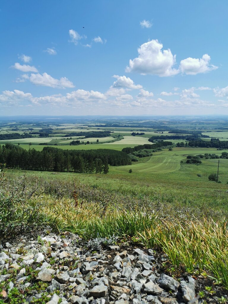 Dağ zirvesi Гора Кивда 621 метр, Altayski krayı, foto