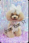 GroomRoom57 (Zarechenskaya ulitsa No:10к1, derevnya Obraztsovo), evcil hayvan kuaförleri  Orlovskaya oblastından