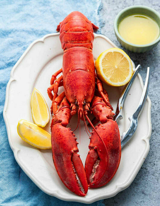 Balık ve deniz ürünleri Isla Seafoods, Dubai, foto