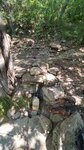 Spring, stream (Autonomous Republic of Crimea, Sudakskiy gorodskoy sovet, Gosudarstvenny prirodny zakaznik regionalnogo znacheniya Novy Svet), pınar, çay  Kırım Cumhuriyeti'nden