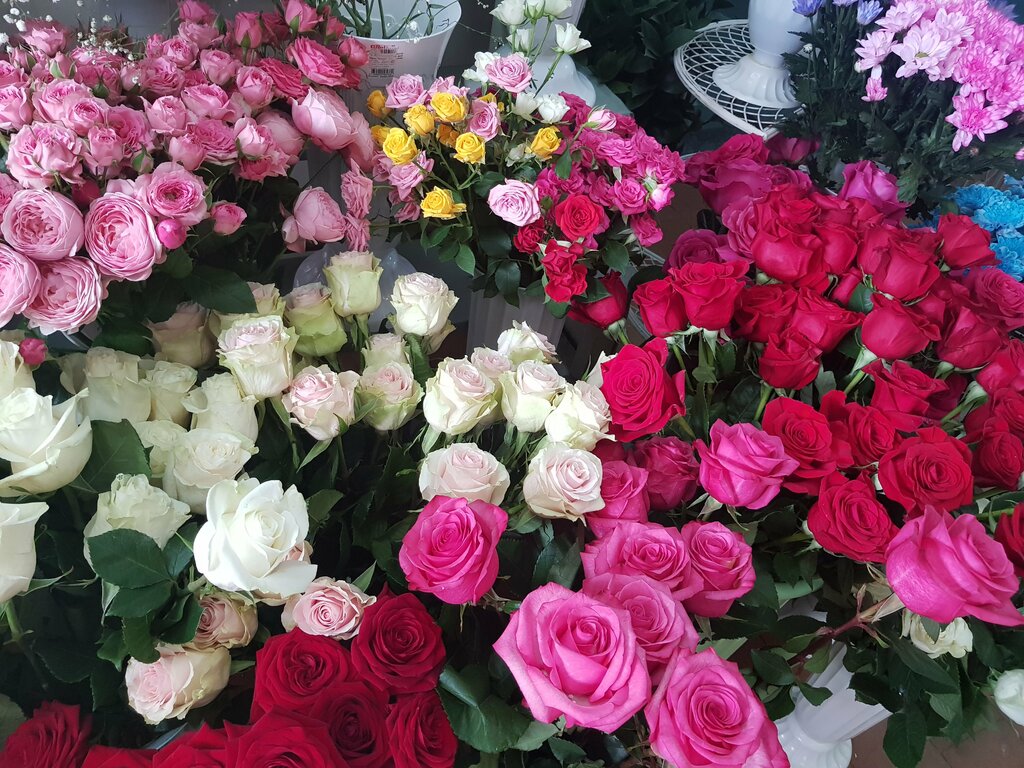 Çiçekçiler Цветы для вас, Belozersk, foto