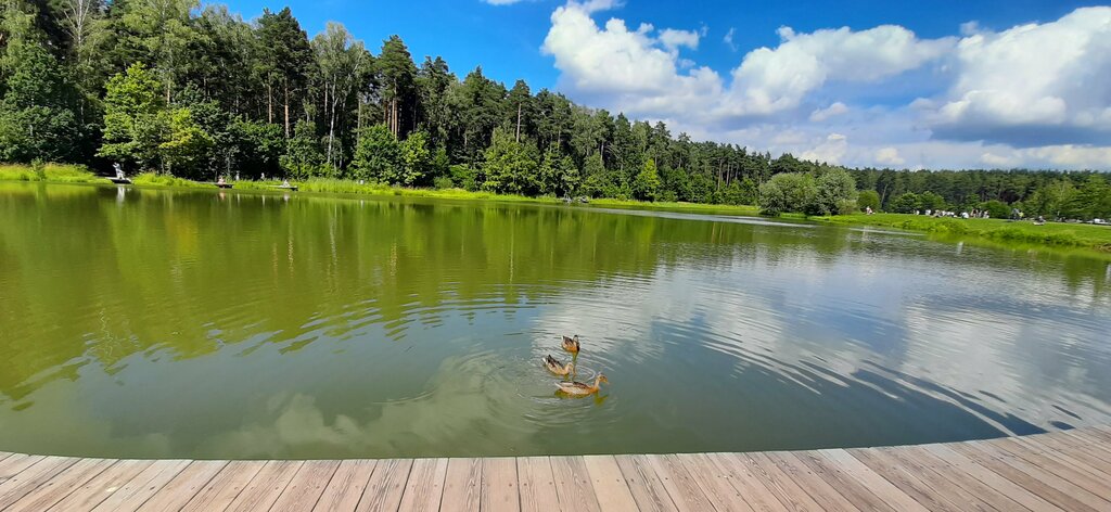 Oyun alanı Большой гамак, Moskova ve Moskovskaya oblastı, foto