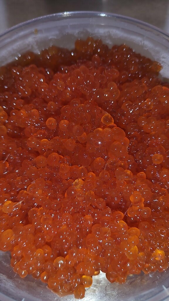 Balık ve deniz ürünleri Форест, Belgorodskaya oblastı, foto