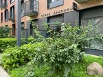 Кор эксперт (Izmaylovsky Drive No:5А), kuaför meslek eğitimi  Moskova'dan