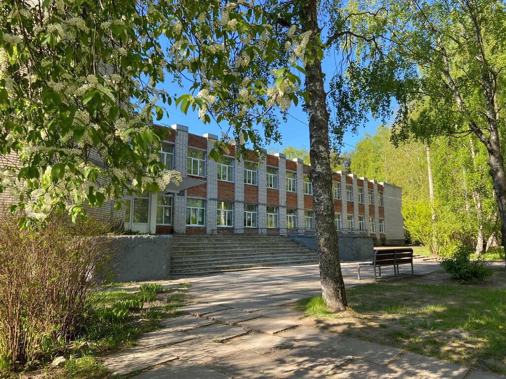 Ortaokul Privetnenskaya shkola Srednego Obshchego Obrazovaniya, Saint‑Petersburg ve Leningradskaya oblastı, foto